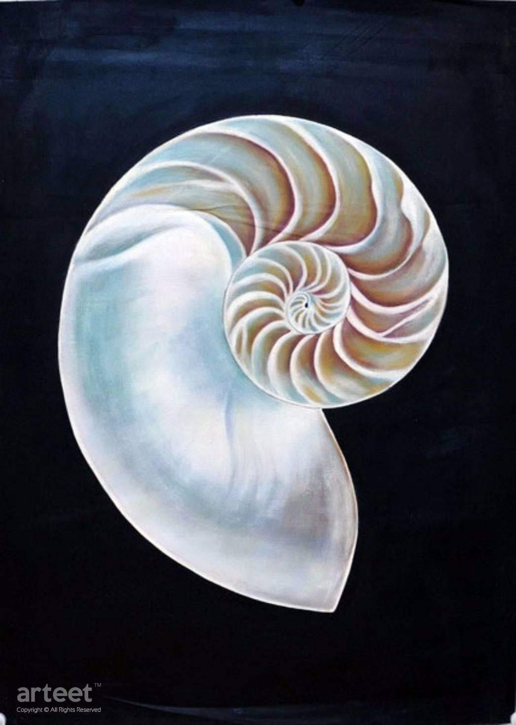 Logarithmic Spiral | Art Paintings for Sale, Online Gallery